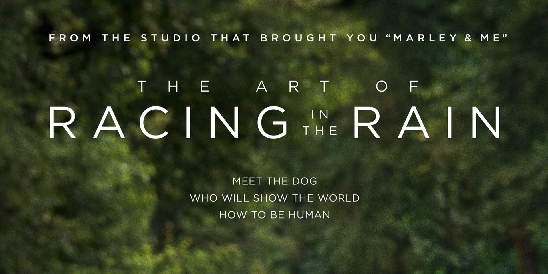 THE ART OF RACING IN THE RAIN Advance Screening Giveaway