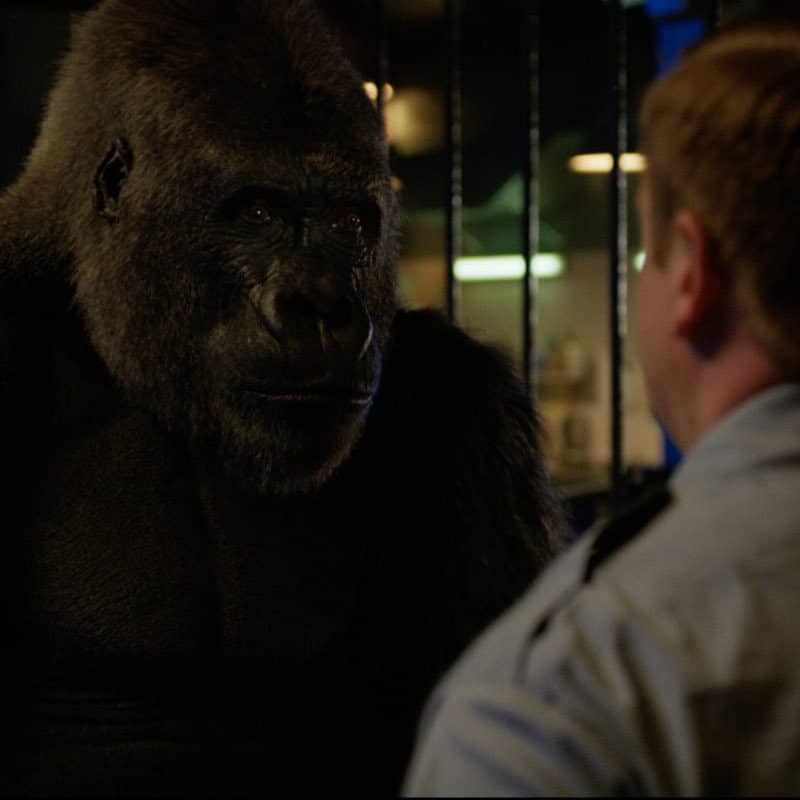 The One And Only Ivan First Look