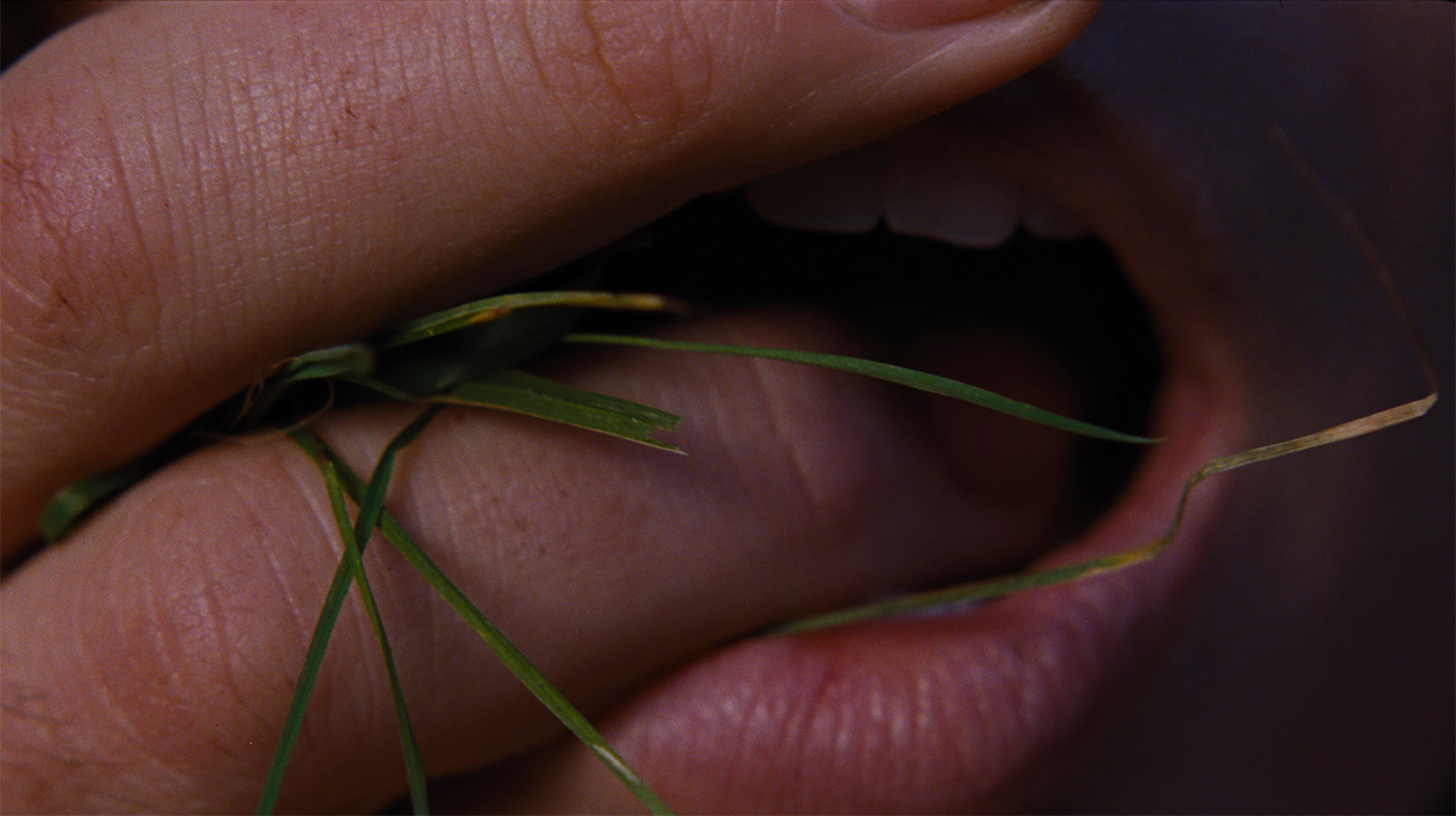 Wuthering Heights Official Teaser Trailer